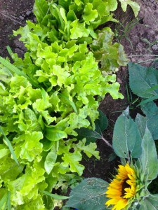 Less Is More. | The Doorposts Blog