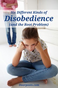 Six Different Kinds of Disobedience (and the Root Problem) | The ...